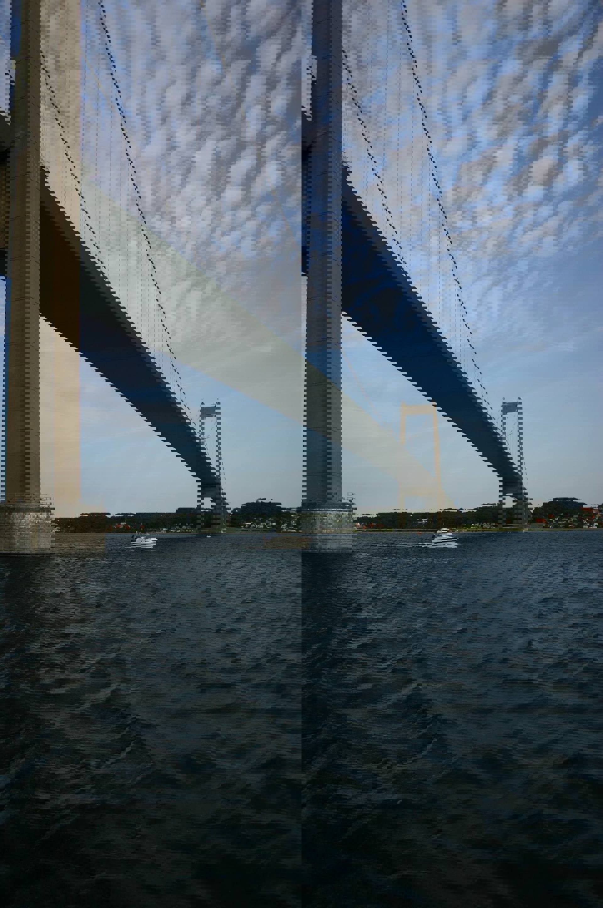 Radikale Venstre Region Syddanmark - Radikale Venstre